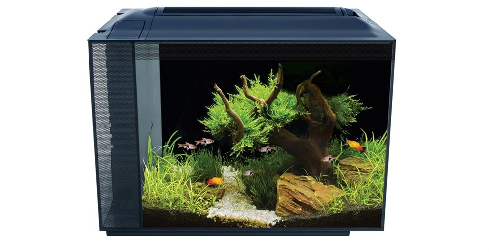 Fluval Spec XV 60 liter